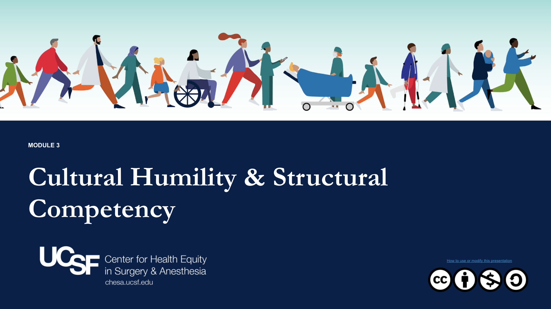 Health Equity Curriculum - CHESA